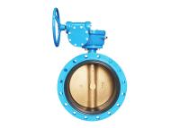 China BWWF Rubber seal Worm Gear Flange Centre Line Butterfly Valve for sale