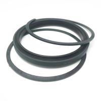 China High Pressure Excavator Hydraulic Cylinder Piston Seals With SPGW 150 for sale