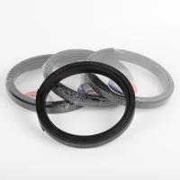 China Excavator Construction Machinery Piston Seal Carbon Fiber Piston Oil Seal Ring Spgw for sale