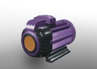 China Frequency Conversion IP54 Permanent Magnet Intelligent Motor for sale