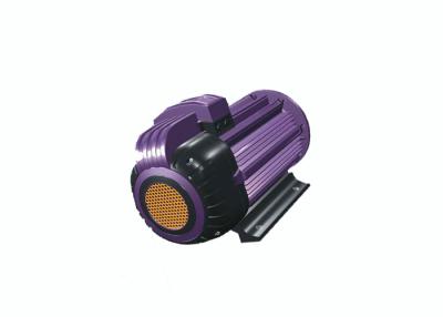 China Mine Permanent Magnet Intelligent Motor for sale