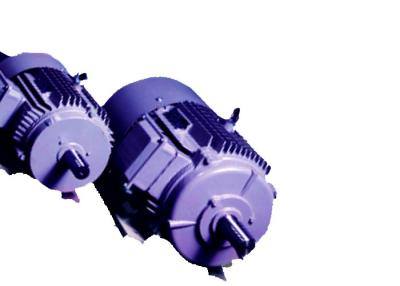 China Air Cooling 380V High Efficiency Permanent Magnet Motor for sale