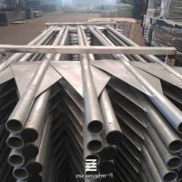 China Hot Dipped Galvanized Fence Post with Wings 40mm x 2900mm for sale