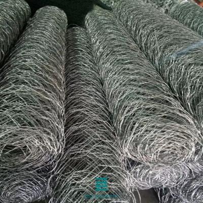 China 2.5mm Diameter Wire Mesh Fencing Rolls , Hot Dipped Galvanised Mesh Roll for sale