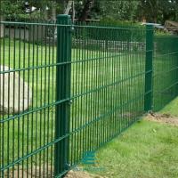 China Double wire panel fencing  2D PVC Coated Metal Mesh Fence Panels Garden Fencing for sale