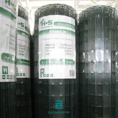 China Welded Wire Fence Roll Dutch Mesh Wire Netting Fence Width 50mm Mesh Hole for sale
