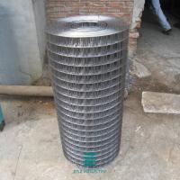 China Welded Iron Wire Fencing Roll 3/4