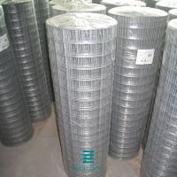 China Plain Weave Welded Wire Fence Roll Galvanized Iron Wire Fencing Mesh Hole 1/2