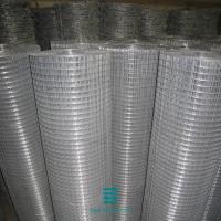 China Plain Weave Welded Wire Fence Roll Galvanized Iron Wire Fencing Mesh Hole 1/2