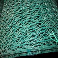 China Green Plastic Coating Wire Mesh Fence Rolls Cage Hexagonal Wire Netting for sale