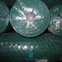 China Green Plastic Coating Wire Mesh Fence Rolls Cage Hexagonal Wire Netting for sale