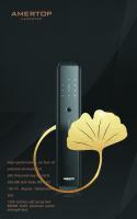 China Security  WiFi APP Access Fingerprint Smart Door Lock for Home for sale