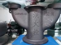 China Grey Cast Iron HT250 Fire Hydrant Three-Way Body with DN100 × DN65 Outlets and PN16 (1.6 MPa) Pressure Rating for sale