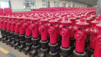 China High Pressure Resistant Cast Iron Fire Fighting Castings with Custom Sizes and Corrosion Resistance for Fire Protection Systems for sale