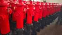 China High Pressure Resistant Cast Iron Fire Fighting Castings with Custom Sizes and Corrosion Resistance for Fire Protection Systems for sale