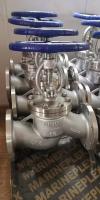 China Industrial CF8 (304) Stainless Steel Y Strainer Casting with Sand Casting Process for Corrosion Resistance in Water & Chemical Pipelines for sale
