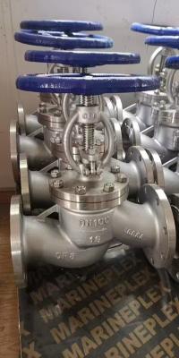 China Industrial CF8 (304) Stainless Steel Y Strainer Casting with Sand Casting Process for Corrosion Resistance in Water & Chemical Pipelines for sale