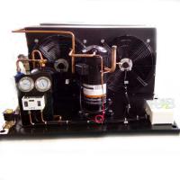 China ZB15L R404A Refrigeration Condensing Unit Air Cooled Compressor 220V for sale
