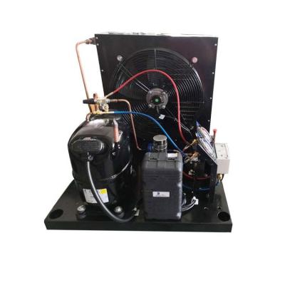 China CAJ2446ZBR CAJ2446Z Refrigeration Compressor Condensing Unit R404a 1hp for sale