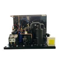 China TAG2516Z Tecumseh Compressor Refrigeration Unit Freezer Unit R404a Condensing Unit For Walk In Freezer Room for sale