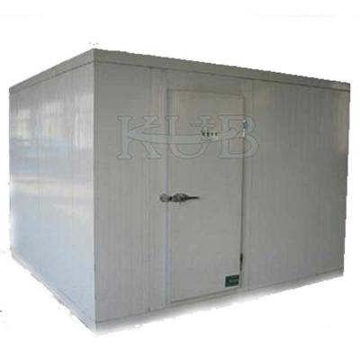 China cold food storage Meat storage cold storage 55 cubic meters temperature -20 degrees cold storage price for sale