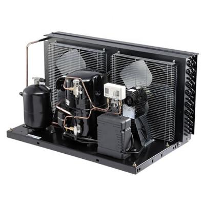 China TAG2522ZBR Commercial 6HP Refrigeration Unit Air Cooled R404 Refrigerant Cold Storage Condensing Units for sale