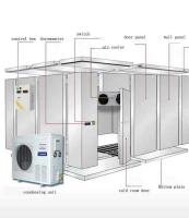 China American Cold Storage Container Change To 100mm Cold Storage Insulation Mini Modular Cold Storage Building for sale