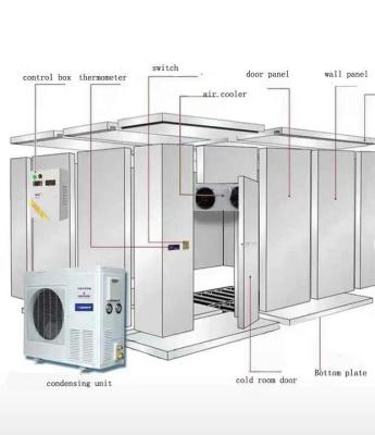 China American Cold Storage Container Change To 100mm Cold Storage Insulation Mini Modular Cold Storage Building for sale