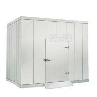 China 25℃ Cold Storage Subsidy Servicer Uk India 150m³ Cold Food Storage Room for sale