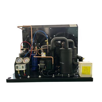 China TAG2516Z 4HP Tecumseh Refrigeration Condensing Unit 380V for sale