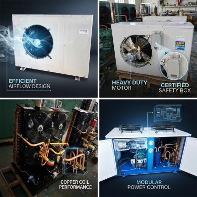 China Air Cooled Open Type Small Condensing Unit 4HP Belt Drive R404A R134a Cold Storage Warehouse Industrial Refrigeration for sale