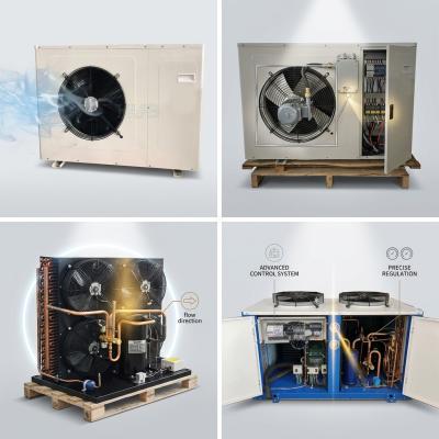 China OEM ODM Custom Brand Small Condensing Unit 2HP Hermetic R404A Personalized Logo Color Panel Cold Room Freezer Condenser for sale