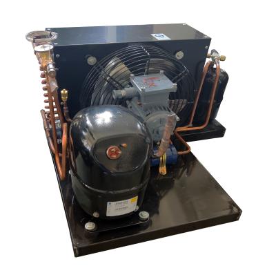 China 2HP Explosion Proof Refrigeration Condensing Unit Hermetic R404a TAJ2464Z for sale