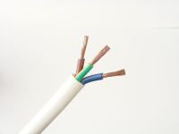 China Buliding House RVV Flexible Electrical Wire  3*1.5mm 3*2.5mm 3*4.0mm for sale