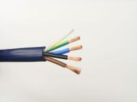 China Buliding House RVV Flexible Electrical Wire  3*1.5mm 3*2.5mm 3*4.0mm for sale