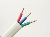 China BVVB Twin Core Lighting Cable 2*1.5mm 2*2.5mm Copper 2 Core Automotive Cable for sale