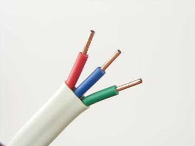 China BVVB Twin Core Lighting Cable 2*1.5mm 2*2.5mm Copper 2 Core Automotive Cable for sale
