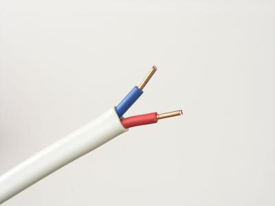 China White Cca Pvc 2 Core Copper Cable / Flat Copper Wire Insulated  2*2.5+Emm For Speaker for sale
