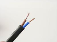 China White Cca Pvc 2 Core Copper Cable / Flat Copper Wire Insulated  2*2.5+Emm For Speaker for sale