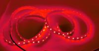 China WiFi BLE 10M RGB+CW Fixed Light Strip 24V 30W Not Extendable Smart LED for sale