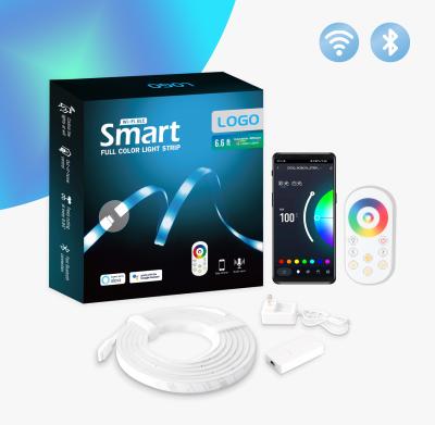 China RF WiFi Neon Rope Light 2M Smart Led Strip RGB CW Extendable for sale