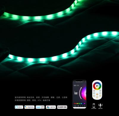 China WiFi BLE RF Smart LED Strip Light Fixed RGB CW 5M for sale