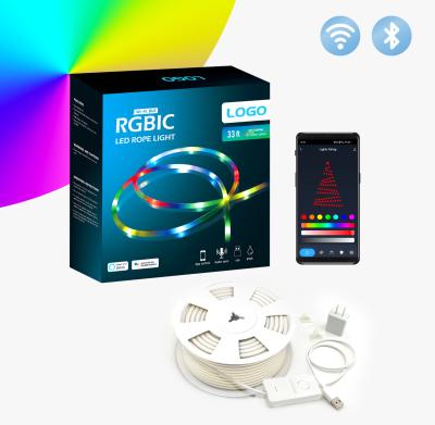 China APP Controlled Flexible Led Neon Light WiFi BLE RGBIC Led Light Strip 10M for sale
