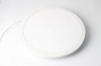 China 24W 36W 45W Smart LED Panel Light Round Frameless Adjustable WiFi Ceiling Lamp for sale