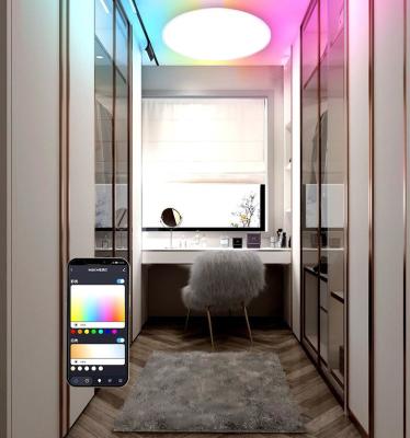 China 36w Multicolor Smart LED Panel Light Rgb Music Intelligent Dimmable Lamp for sale