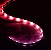 China remote control led strip lights 10W 7m 10m Extendable Led Strip Lights Smart Full Color for sale