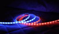 China 24V COB Flexible LED Strip Light WiFi APP RGB Music Sync 16 Million Colors 120° Beam Angle for sale