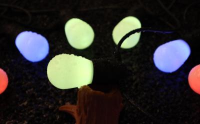 China LED RGB Multi Coloured Festoon Lights Waterproof Outdoor Decor String Light 25000H for sale