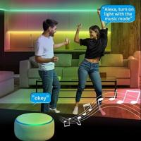 China 2m RGB LED Flexible Strip Light 30W Wi-Fi Bluetooth Smart App Control for sale