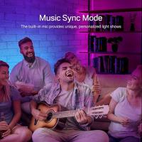 China Music Sync Voice Control LED Strip Lights Color Changing Timing App Controlled for sale